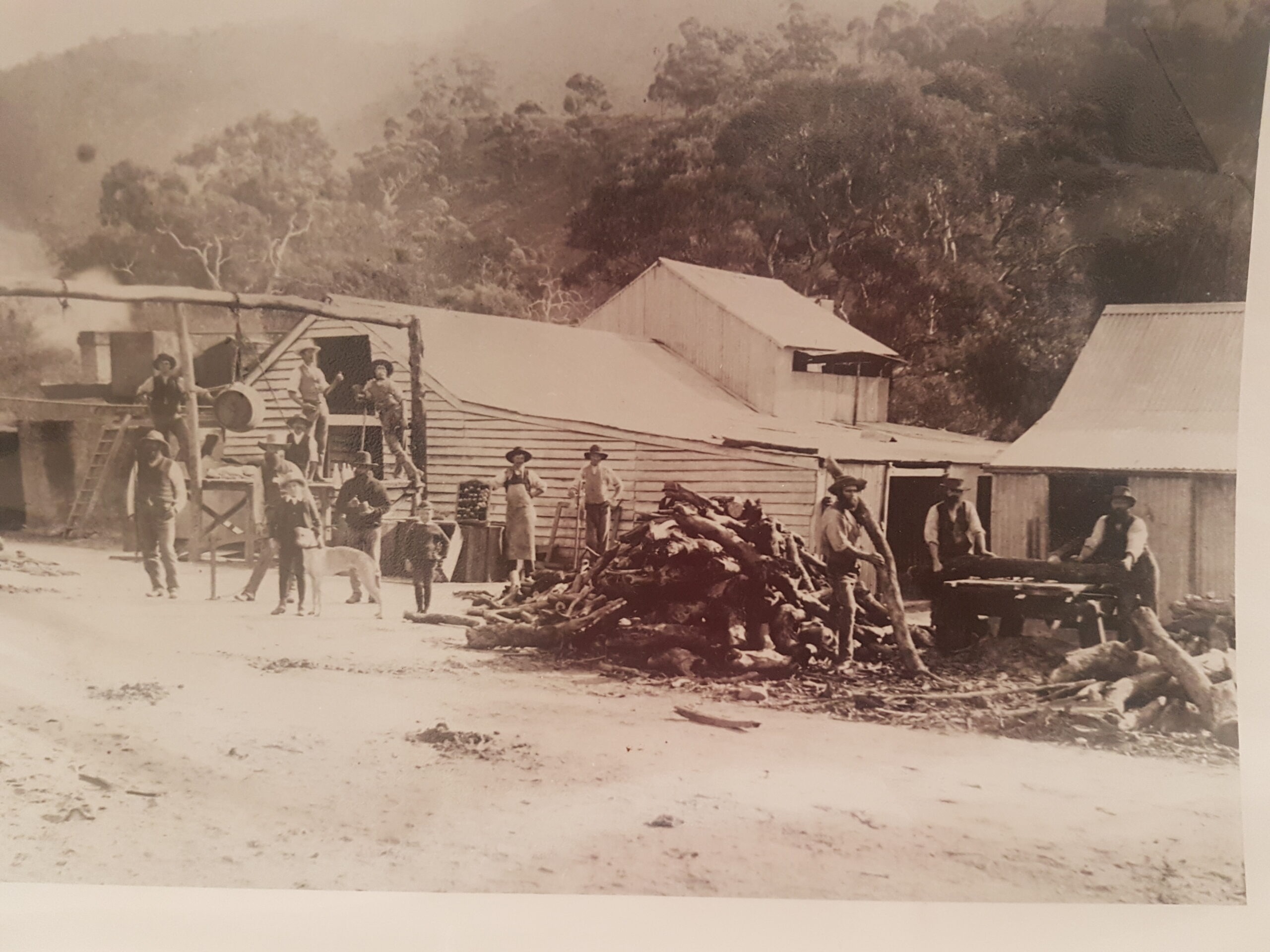 History - Melrose, Flinders Ranges, South Australlia