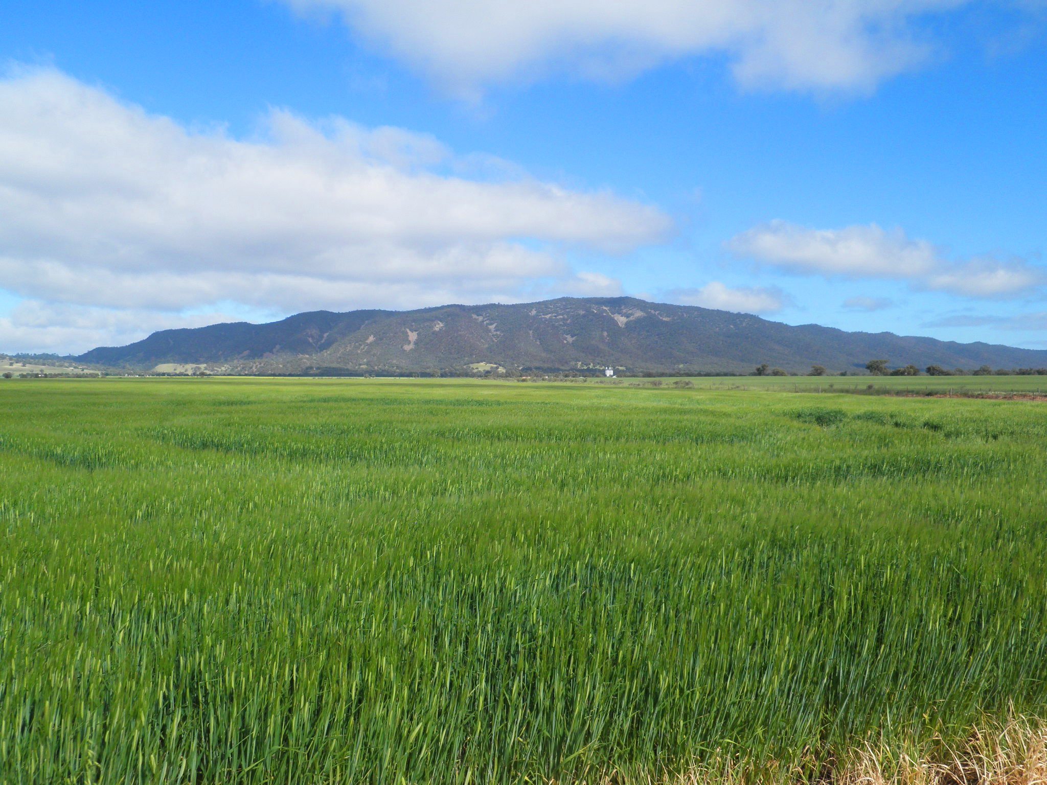 Home - Melrose, Flinders Ranges, South Australlia