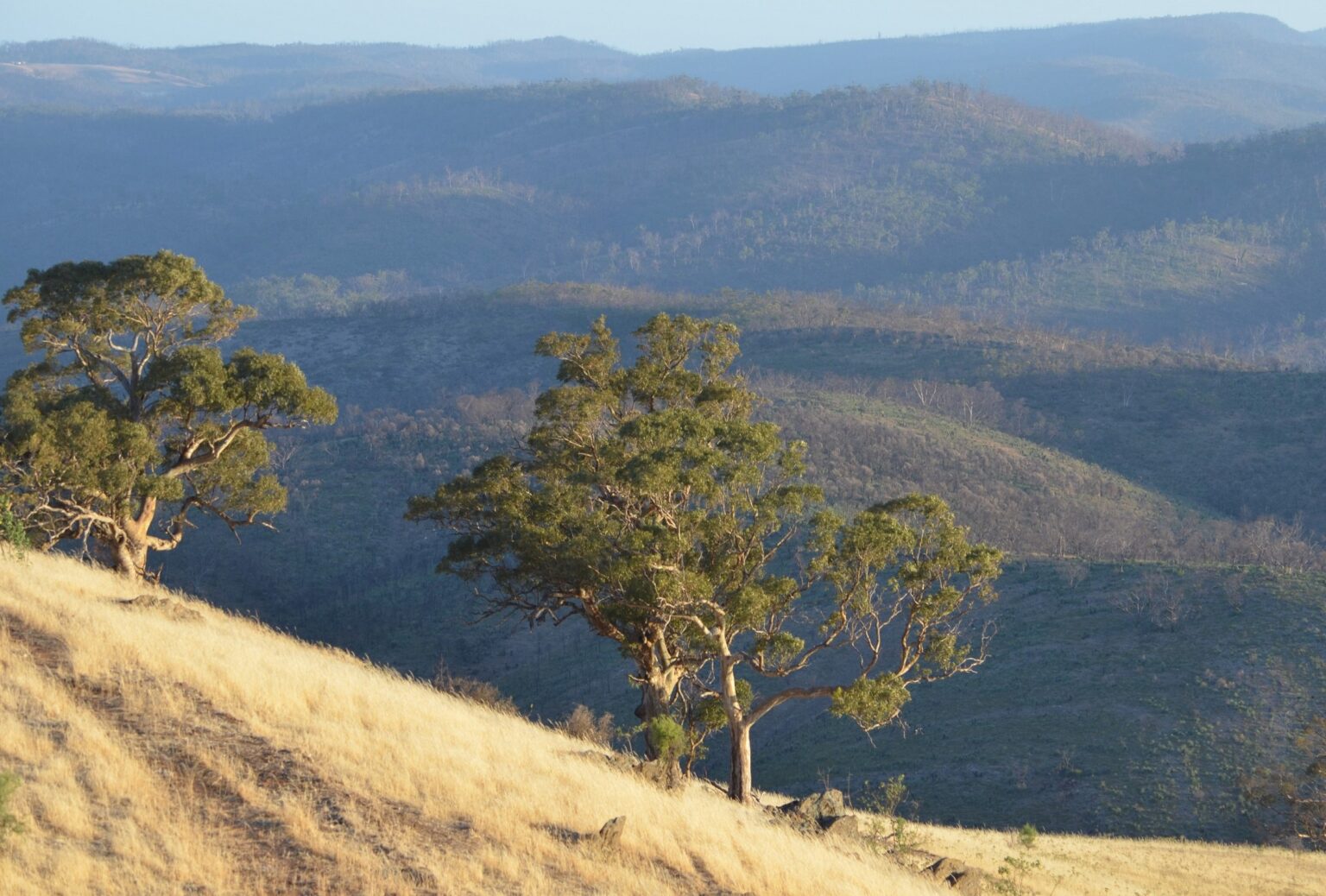 The Bridle Track 4WD